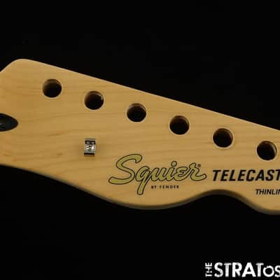 Fender Squier Affinity Series Telecaster Thinline, NECK Tele, | Reverb