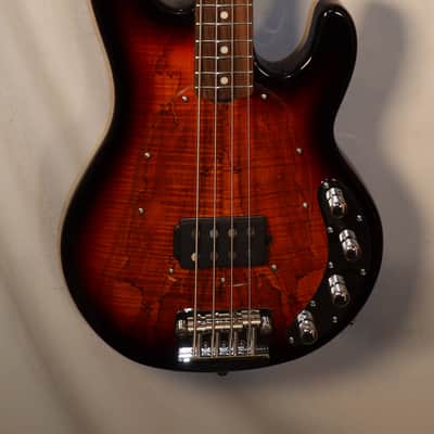 Sterling by MusicMan StingRay Spalted Maple 3-Color Sunburst | Reverb