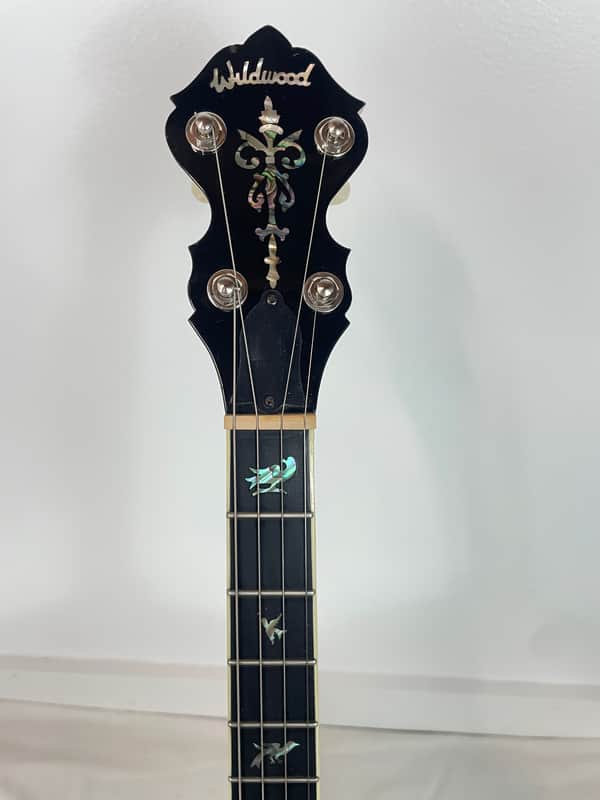 Wildwood Tenor Banjo | Reverb