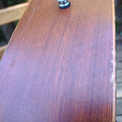 8-string Plectrum Tenor/Octave Mandolin Converted Luna Travel | Reverb