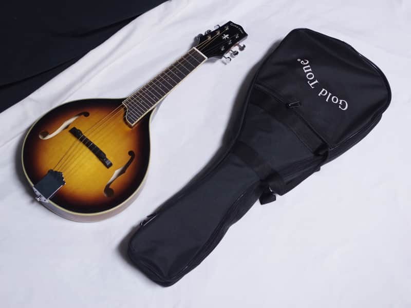 GOLD TONE GM-6 6-string Mandolin style GUITAR new GM6 Solid | Reverb