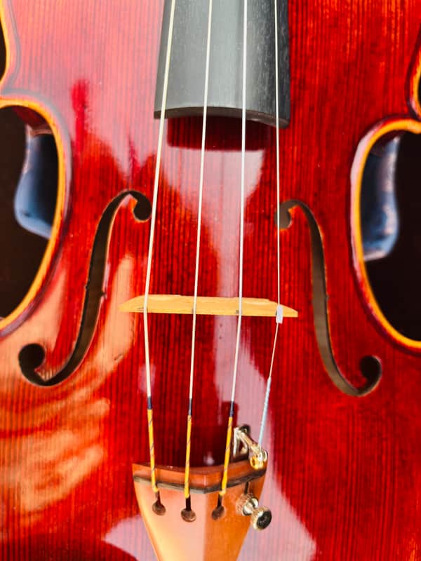 Italian Labeled Violin Hannibal Fagnola Fecit Turin | Reverb Australia
