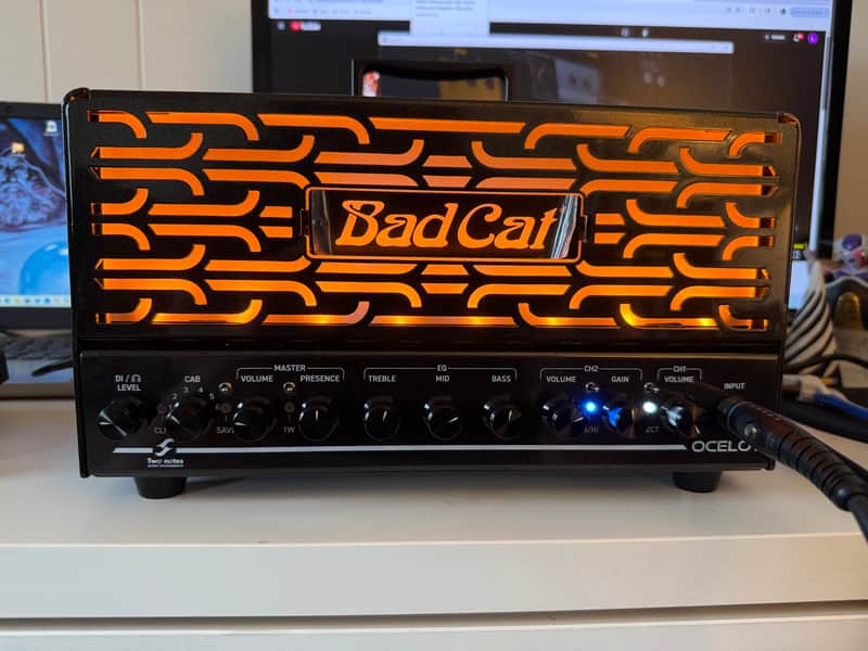 Bad Cat Ocelot 2025 | Reverb