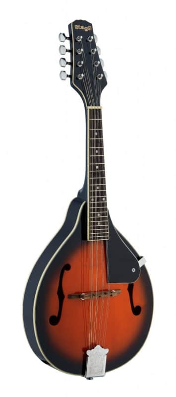 Stagg Bluegrass Mandolin w/ solid Spruce top | Reverb