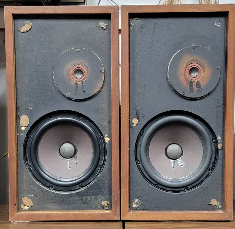 (2) Epicure EPI M 100 Book Shelf Speakers | Reverb