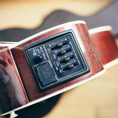 1993 Takamine PT-108 – Solid Flamed Sycamore Top | | Reverb
