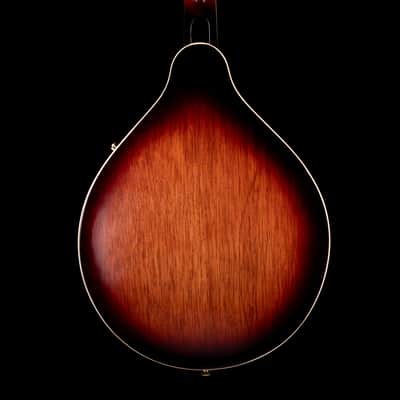 Used Fender FM-53S Mandolin Sunburst With Gig Bag | Reverb