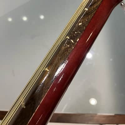 Alvarado Bajo Quinto 10 String Guitar w/ Gig Bag | Reverb