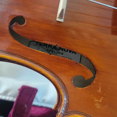 Terra Nova Violin Student Model 2012 4/4 Full Size | Reverb