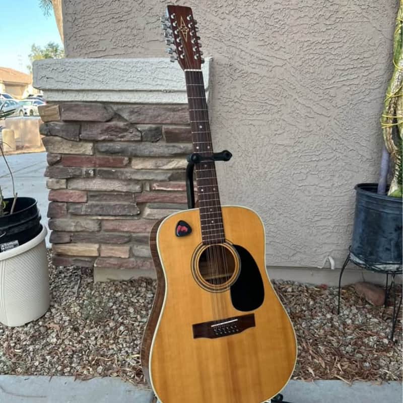 Alvarez 5054 1970 - Brown | Reverb