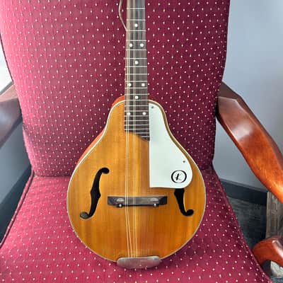 Kay Mandolin 1960-1965 | Reverb