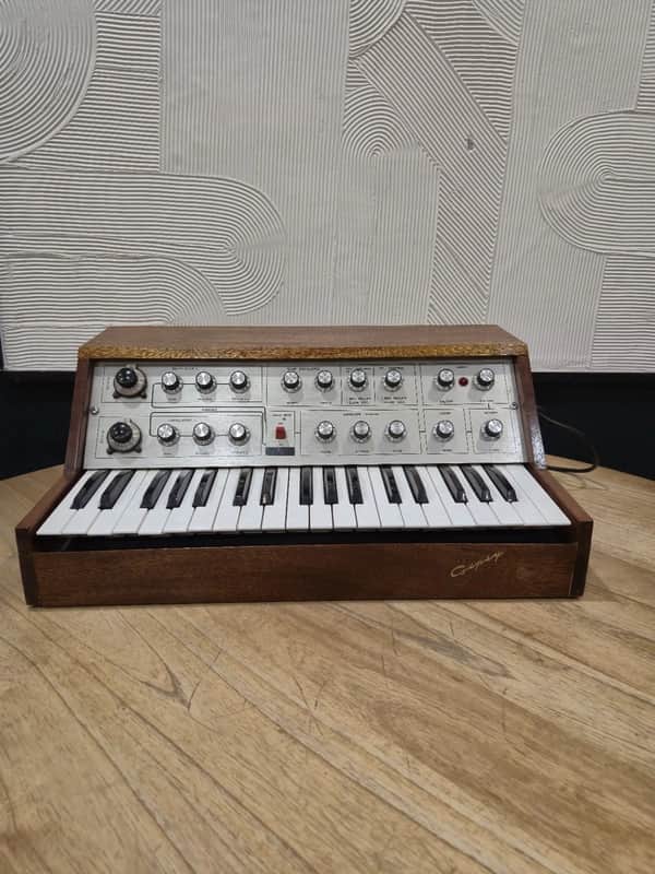 Dewtron Gipsy Synth Synthesizer- For Collectors Only | Reverb Canada