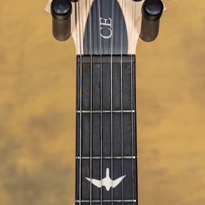 2024 PRS CE 24 Willcutt Exclusive Run Tortoise Shell | Reverb