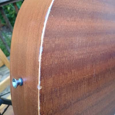 8-string Plectrum Tenor/Octave Mandolin Converted Luna Travel | Reverb