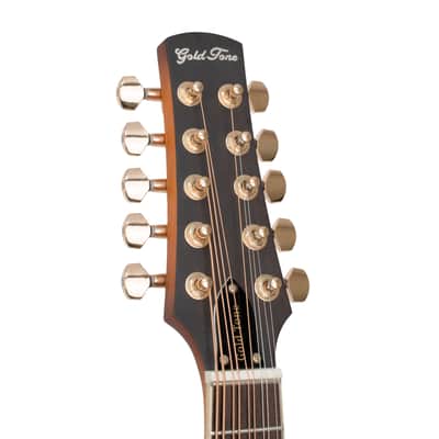 Gold Tone F-10: 10-String F-Style Mandolin with Pickup and | Reverb