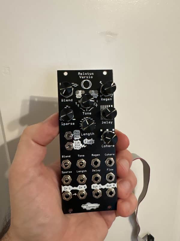 Noise Engineering Melotus Versio 2021 - Present Black | Reverb