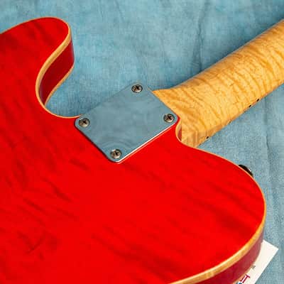USED Neville Guitars Custom T-Style Telecaster Flame Clear | Reverb