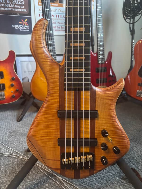 Warrior Dran Michael 5 Reverb