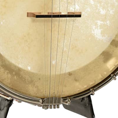 Chanterelle Mike Ramsey Bacon Model Timeless Timber Test | Reverb