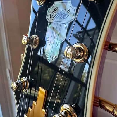 D'Angelico Excel DC Double-Cutaway Hard Shell Case - Trans | Reverb