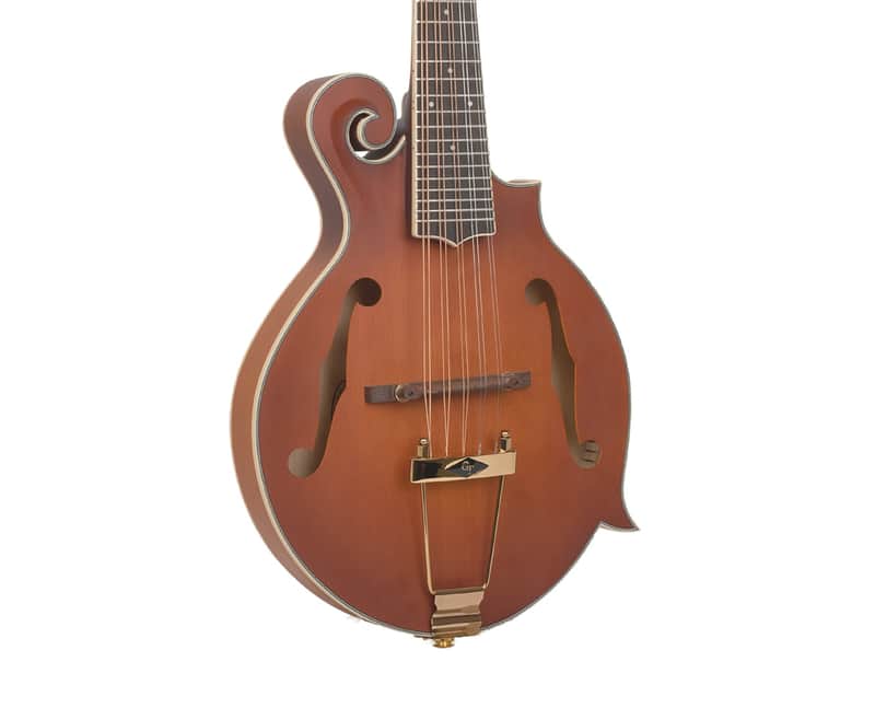 Gold Tone Mastertone F10 10-String F-Style Mandolin - Open | Reverb