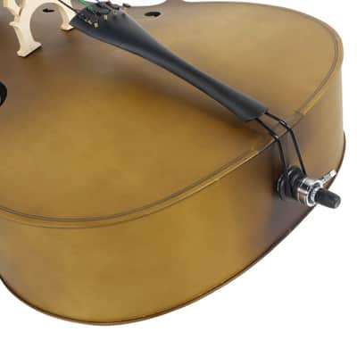 4/4 Full Size Acoustic Cello Starter Kit with Case, Bow & | Reverb