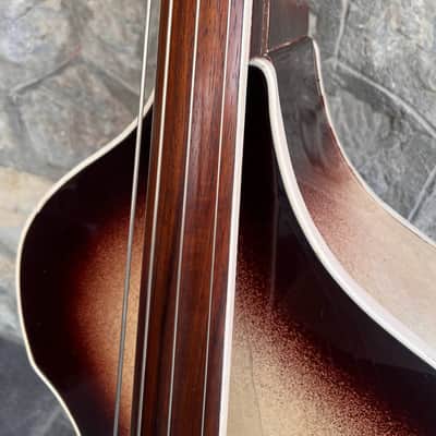 July 1960 Wandre Framez Naika Brownburst Upright Double Bass | Reverb