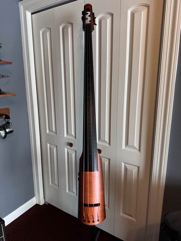 NS Design NXTa Electric Upright Bass | Reverb