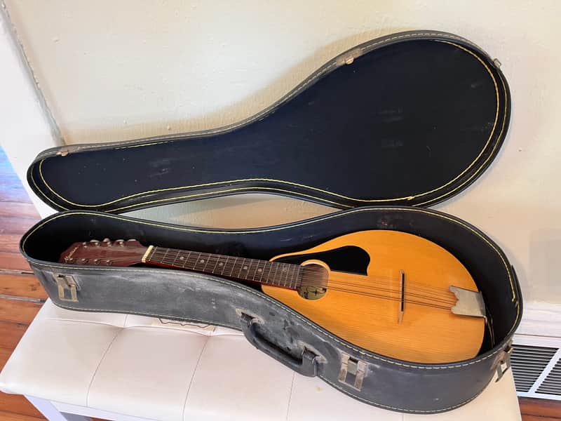Montana ELM 100 A-Style Mandolin by Kaman Music Corporation — | Reverb