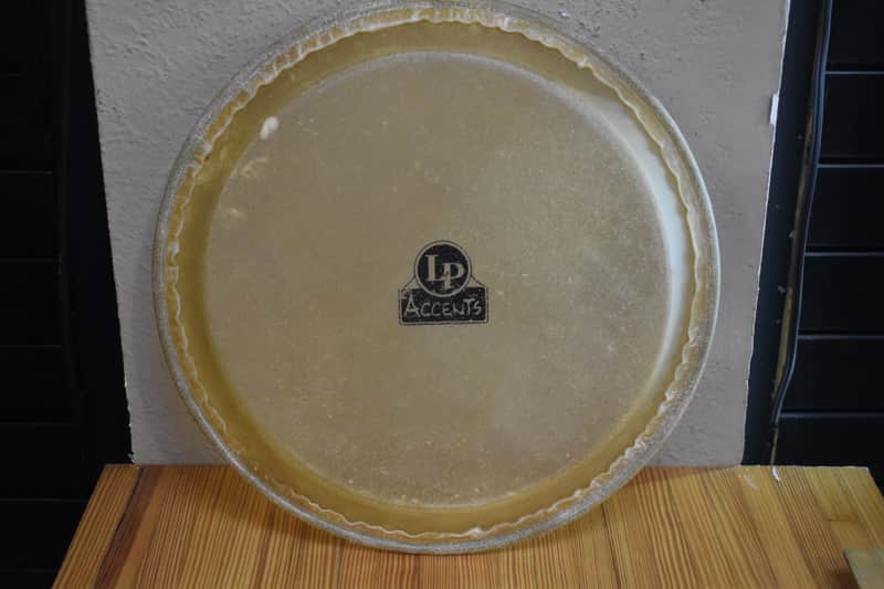 LP Rawhide Accents 11" Conga Head | Reverb