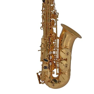 Roy Benson AS-201 Student Alt Saxophon | Reverb