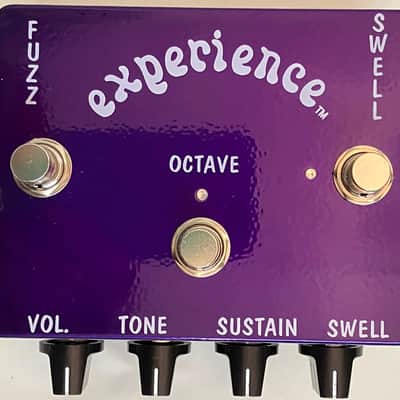 Prescription Electronics Experience 2010 late - Deep Purple | Reverb
