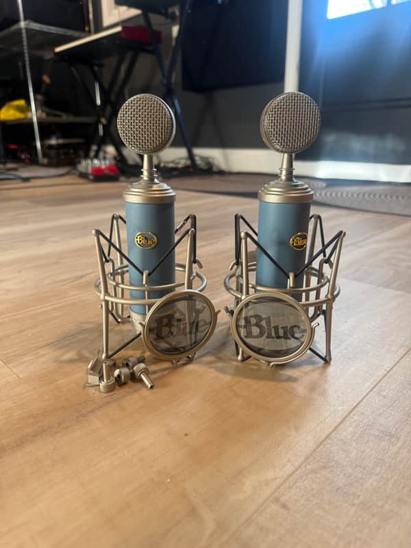 Blue Bluebird Large Diaphragm Cardioid Condenser Microphone | Reverb