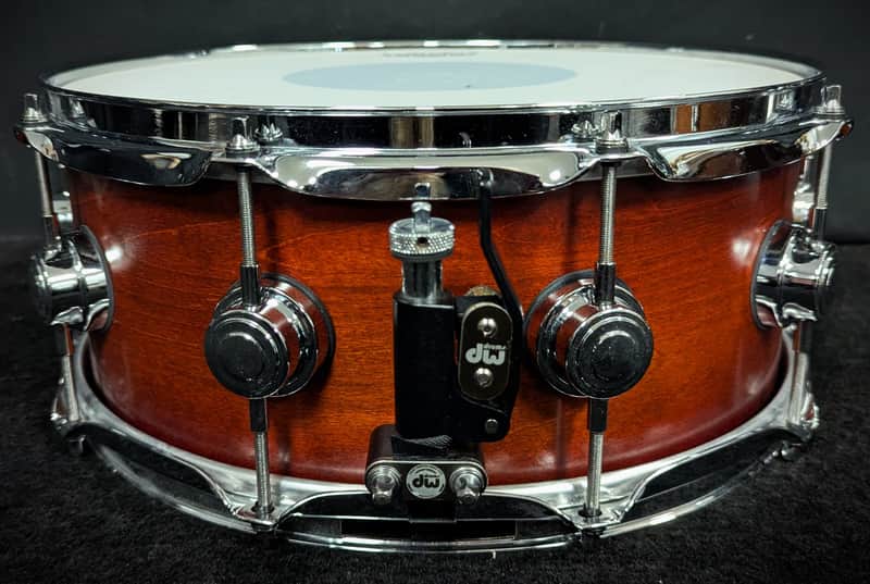 DW Maple Snare | Reverb