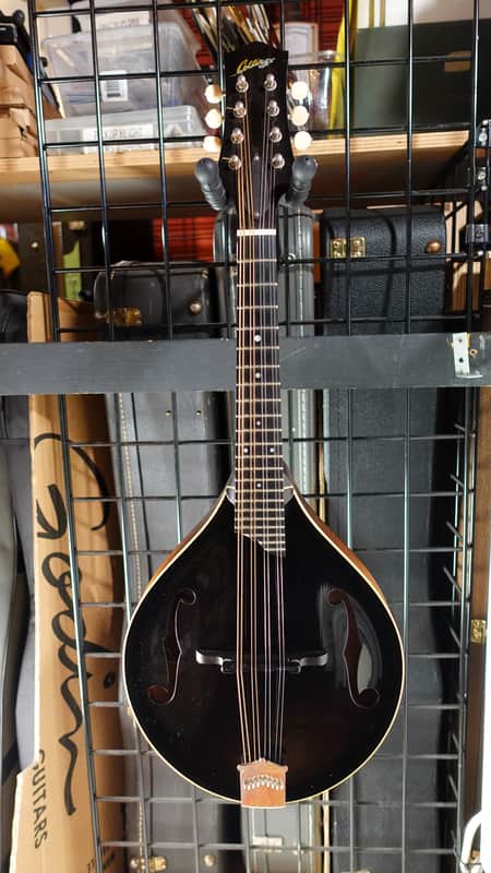 Collings MT A Style Mandolin 2000s - Black Gloss / | Reverb Canada