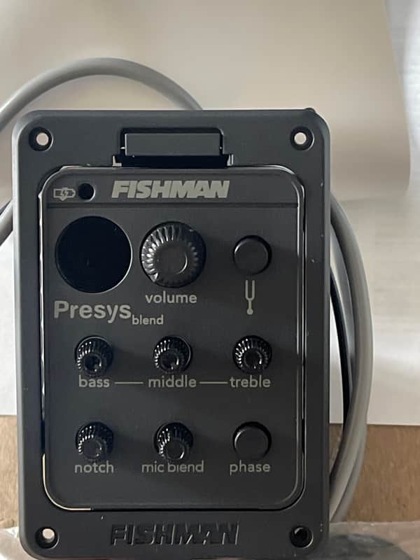 Fishman new versión 301 | Reverb