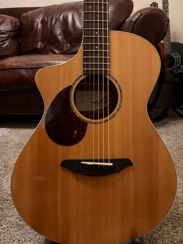Breedlove Passport Plus C250/SB Left Handed | Reverb
