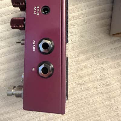 Chase Bliss Audio Brothers AM 2025 - Present - Various | Reverb