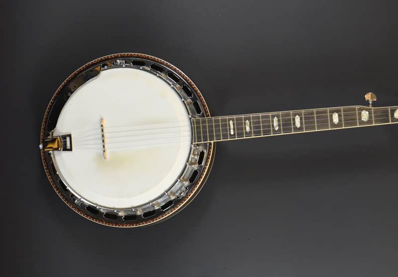 Iida 5-String Banjo, Recent | Reverb