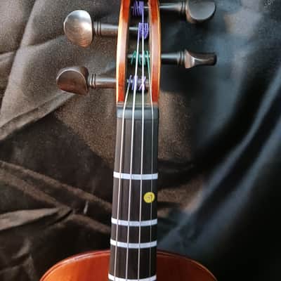 Amati's Fine Instruments Dvorak 2010s - Hand applied oil | Reverb