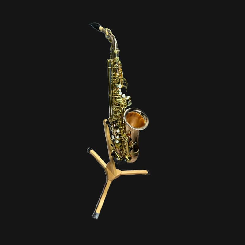 Sakkusu Alto Saxophone Gold Lacquer w/ Gigbag & Accessories | Reverb