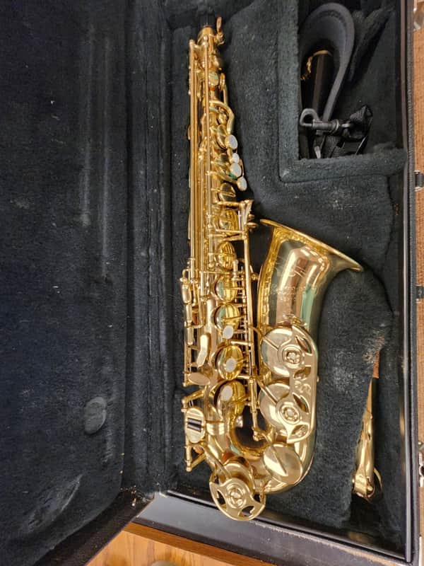 Selmer AS210 Alto Saxophone with case | Reverb
