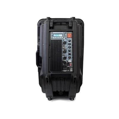 Mr. Dj PP3000BT 15-Inch 2500-Watt Max Power Speaker with | Reverb