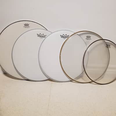 5PC Remo 12", 3x14", 16" Batter Heads Lot - As New - Save $ | Reverb