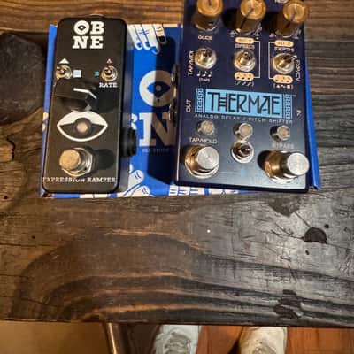 Chase Bliss Audio Thermae Analog Delay Harmonizer with OBNE | Reverb