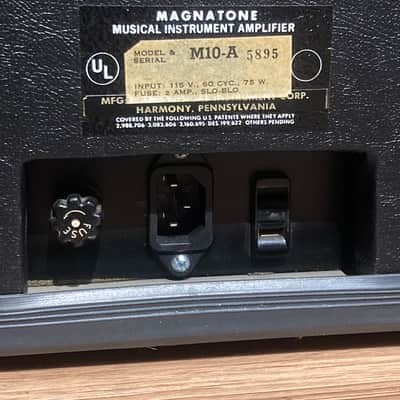 Magnatone M10A Custom Series 2-Channel 38-Watt 1x12" | Reverb Canada