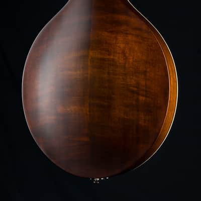 Eastman MDO305 Octave Mandolin | Reverb