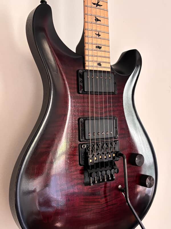 PRS Dustie Waring Signature CE 24 Floyd 2022 - Waring Burst | Reverb