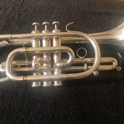 Kanstul 930 short model dixieland cornet 2010 - Silver | Reverb