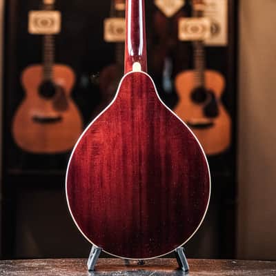 2023 Richwood RMA-60-VS HERITAGE SERIES A-STYLE | Reverb Australia